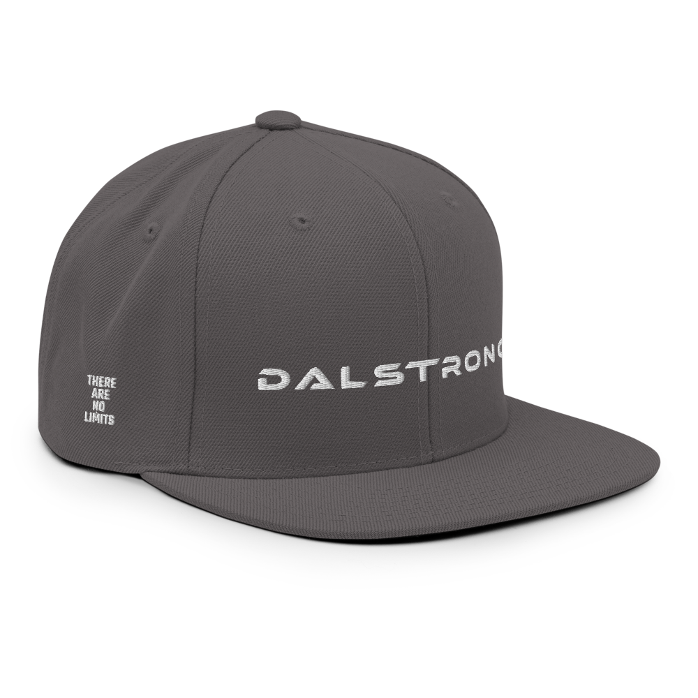 Make It Snappy Snapback Hat - Front to Back Logo | Apparel | Dalstrong ...